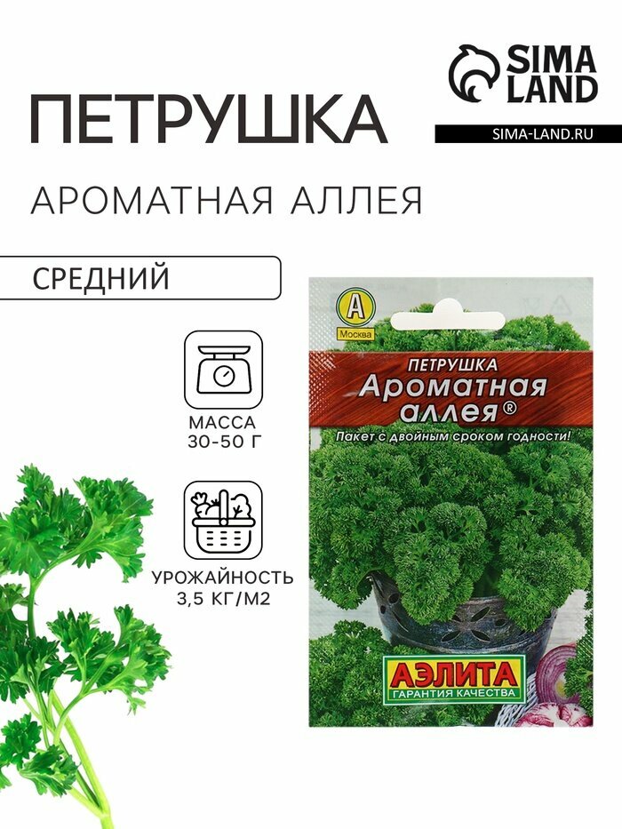 Семена Петрушка кудрявая «Ароматная аллея», 2 г, «Аэлита»
