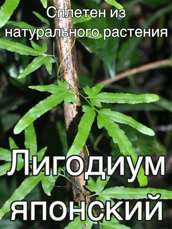 Птичье гнездоФигурка садовая，гнездо для птиц 35cм, идеально подходят для украшения двора дома — фото 1