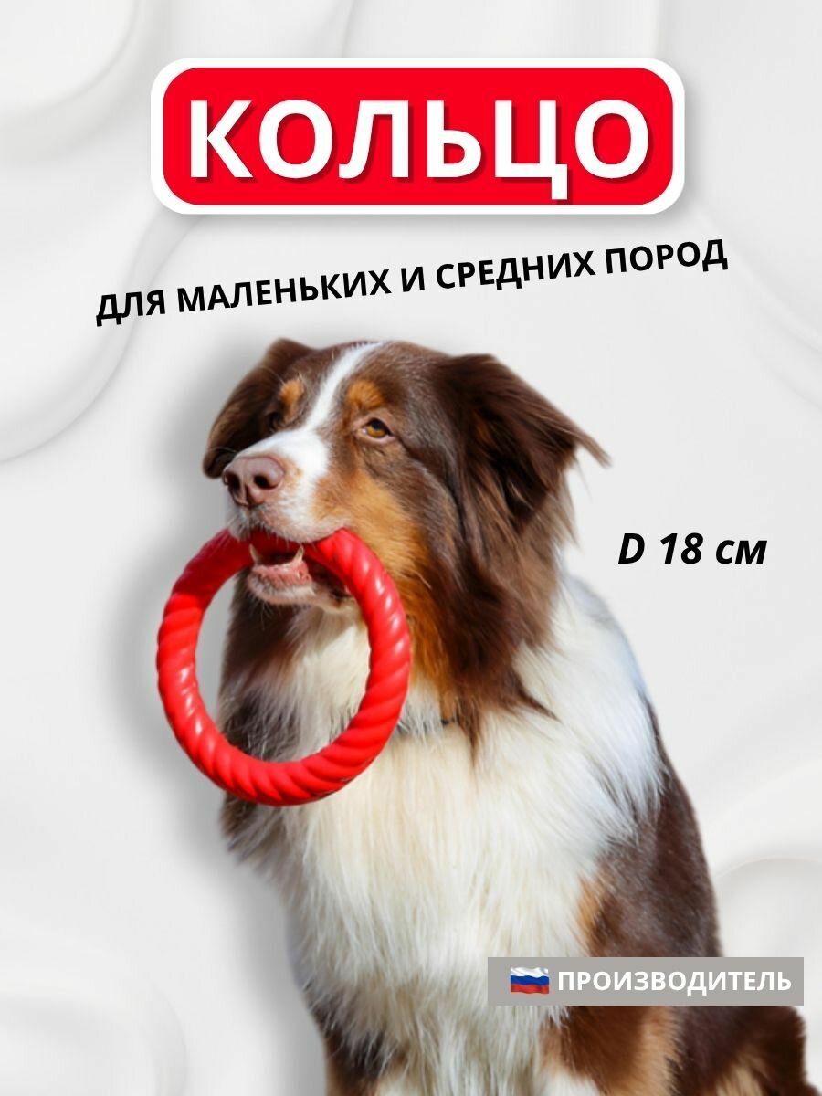 Игрушка для собак средних пород сибирский ПЁС кольцо красное 180мм