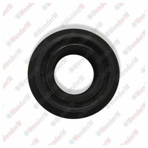 Сальник штока кпп Ford Fusion 02-12, Focus II 05-11 --, россия WENDERW WE12118C