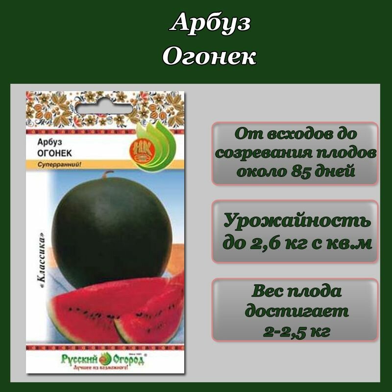 Арбуз Огонек (1 упаковка-1гсемян)