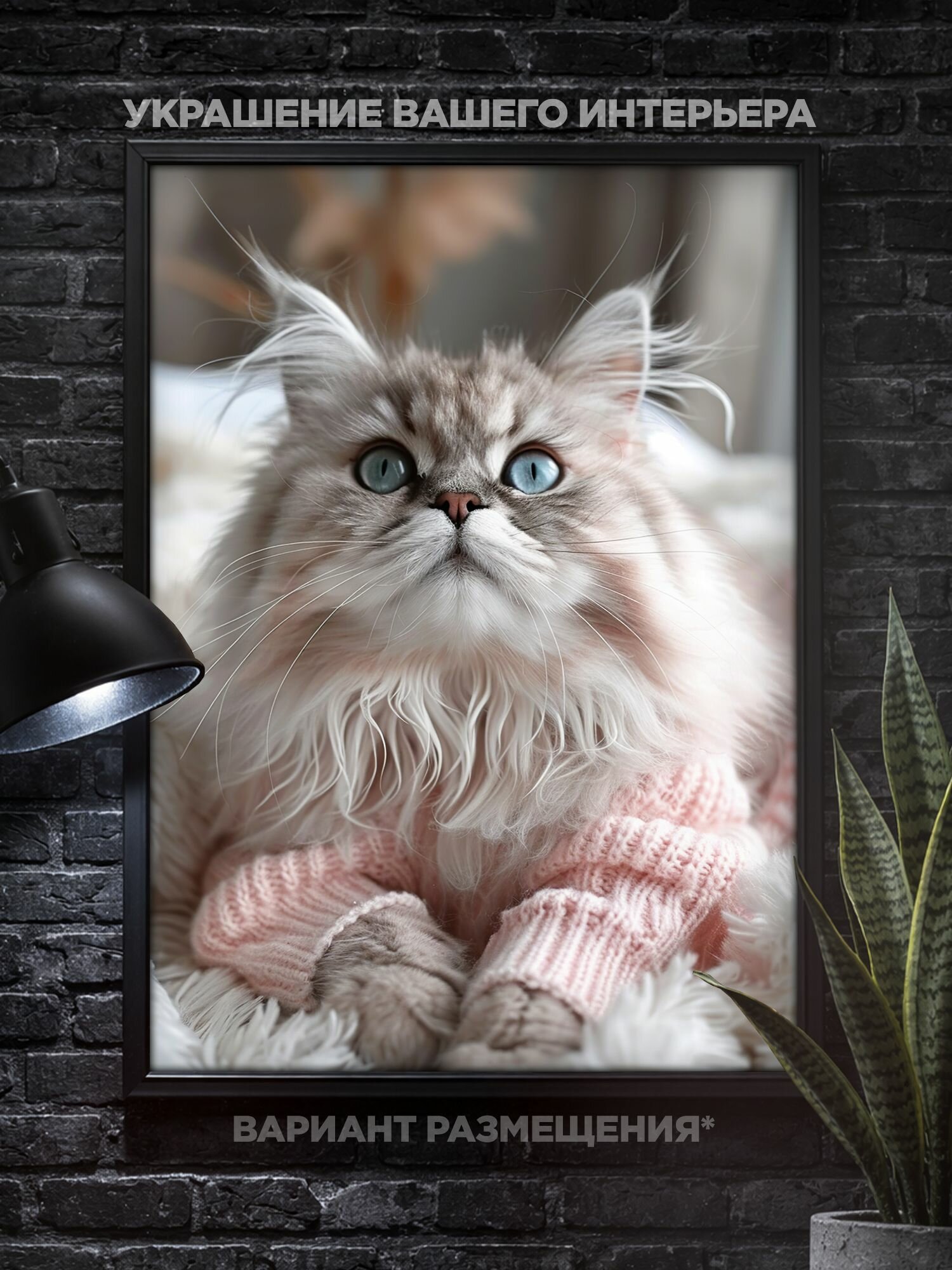 Постер Котики, Эстетика — фото 1