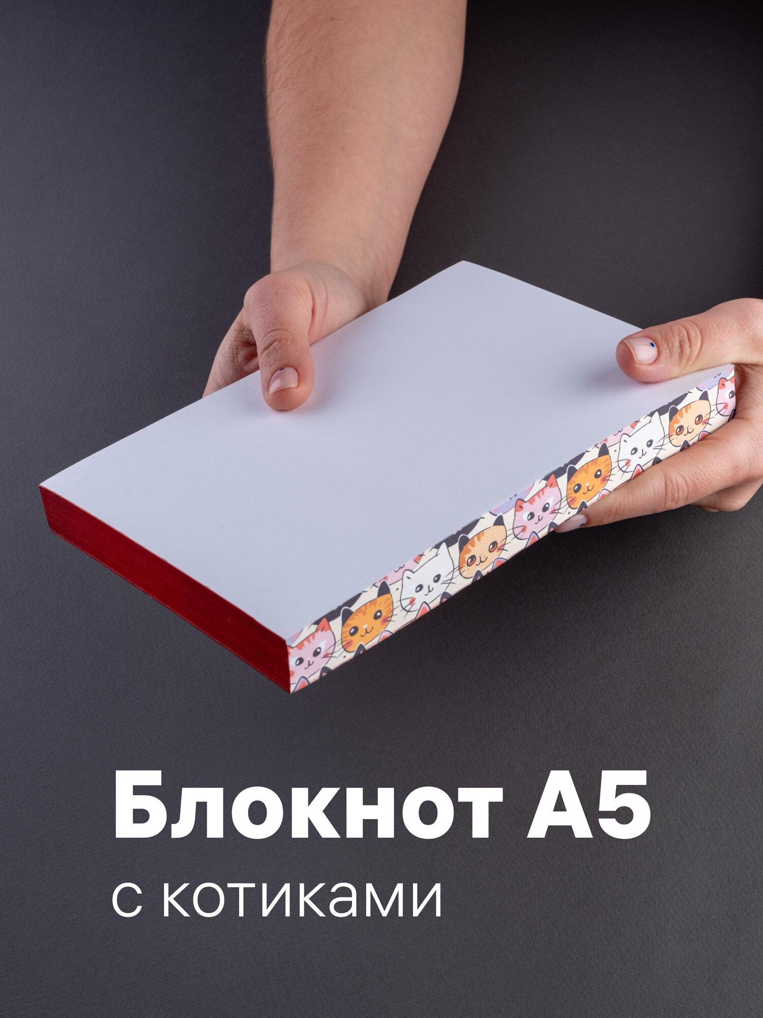 Блокнот А5 с отрывными листами Котики , 200 листов, Story Me!