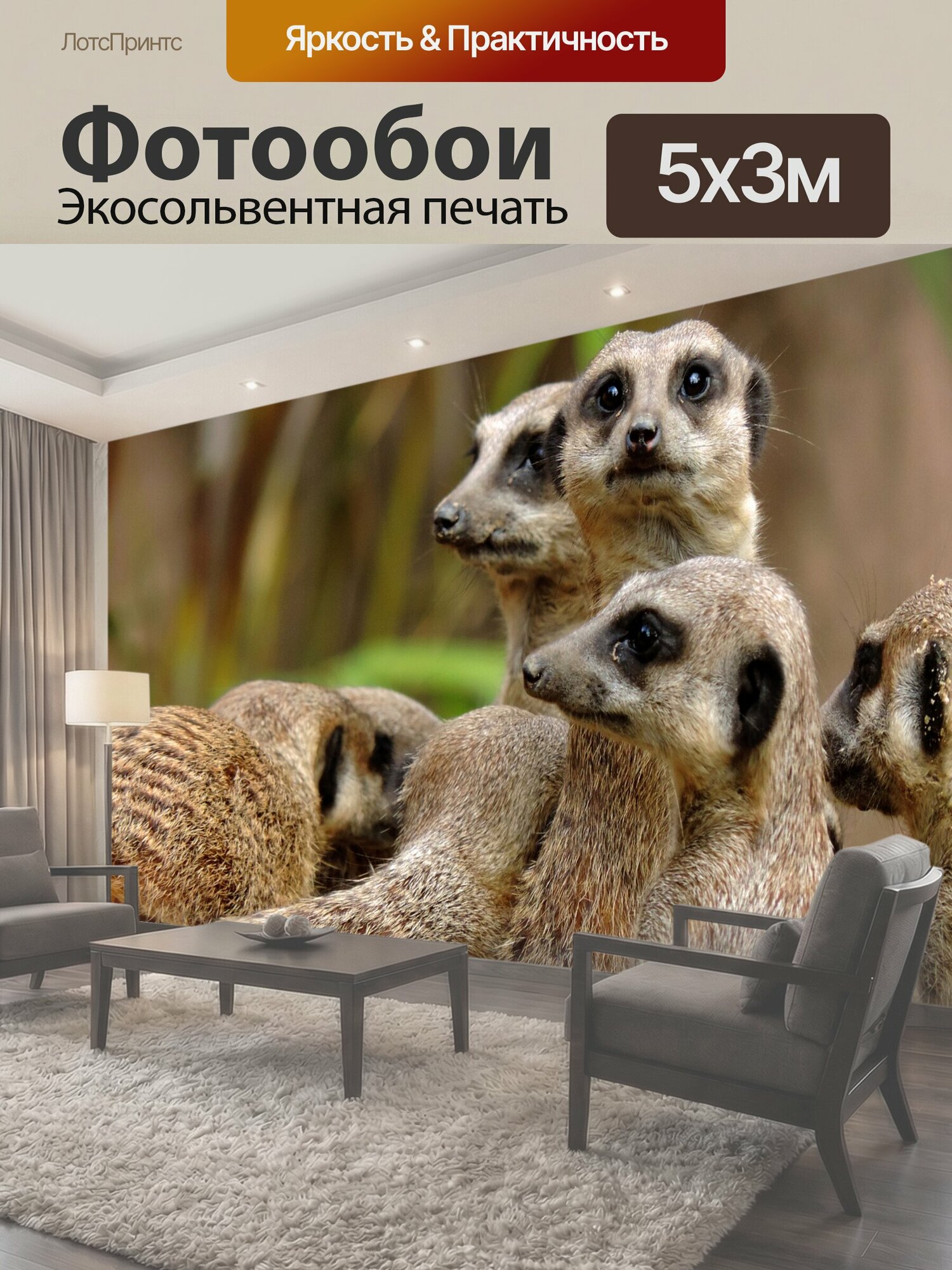 Фотообои "Сурикат, мангуста, suricata" 500x300 см. экосольвентная печать