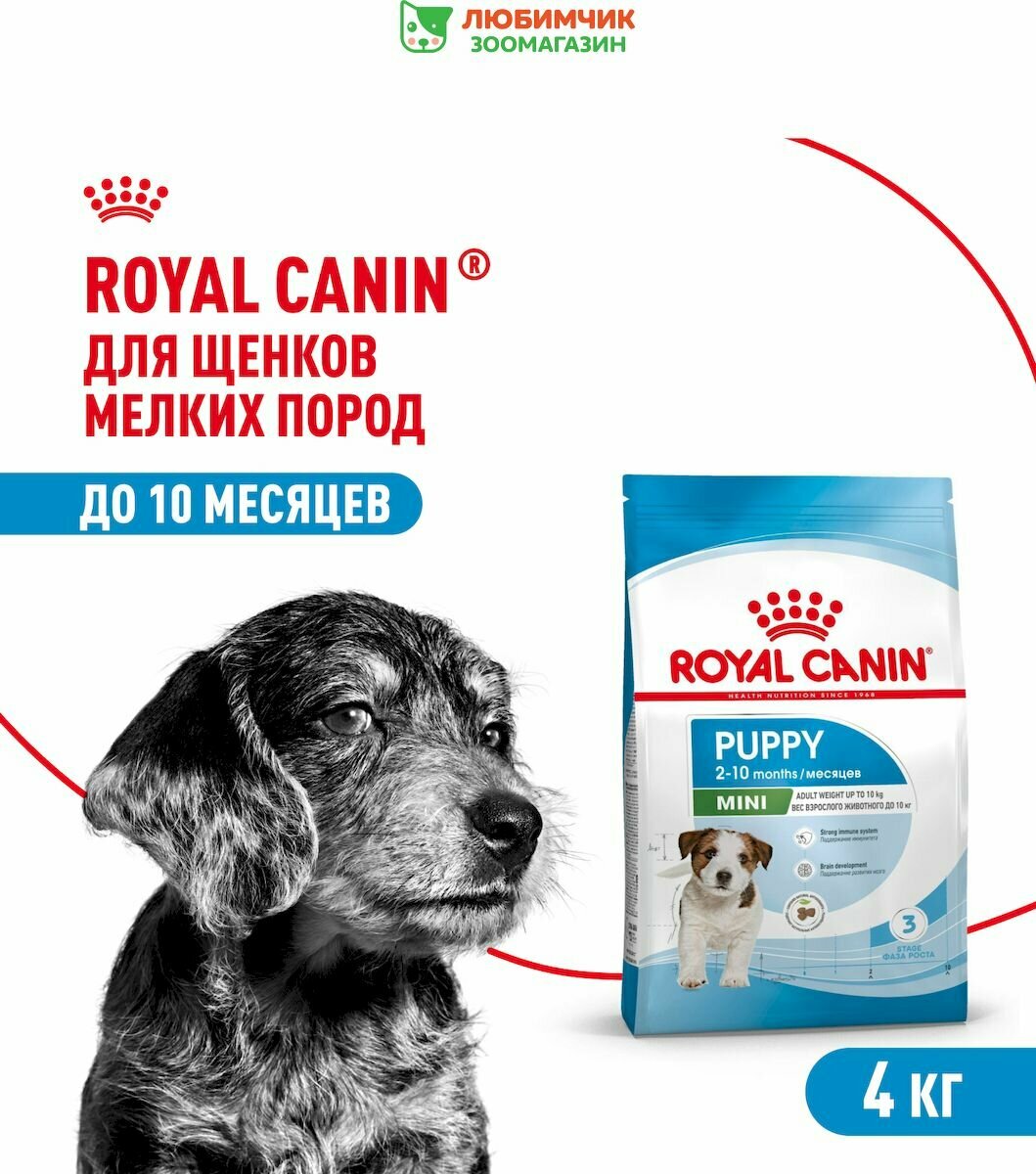 Royal Canin корм для щенков малых пород 4 кг