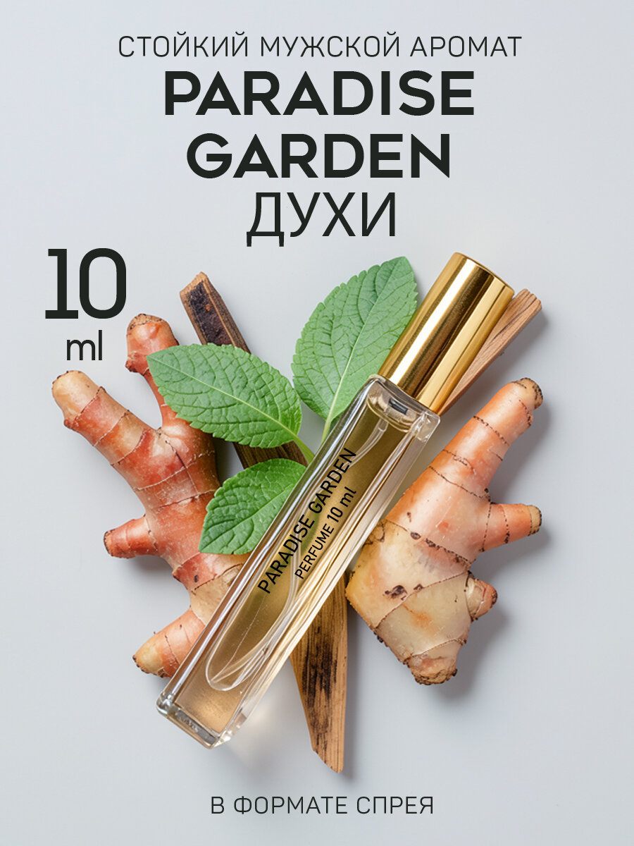 Paradise Garden Духи мужские масляные стойкие парадиз гарден 10 мл