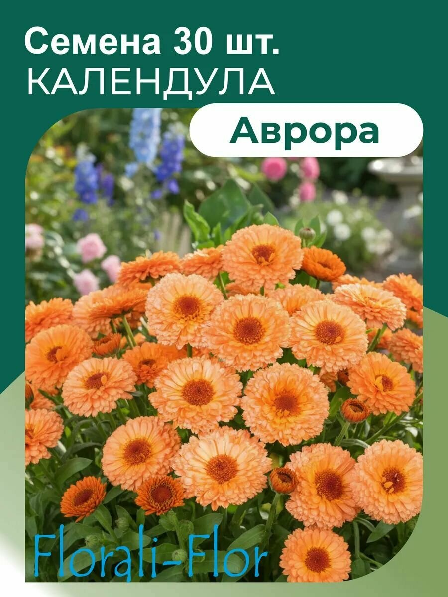 Календула Семена