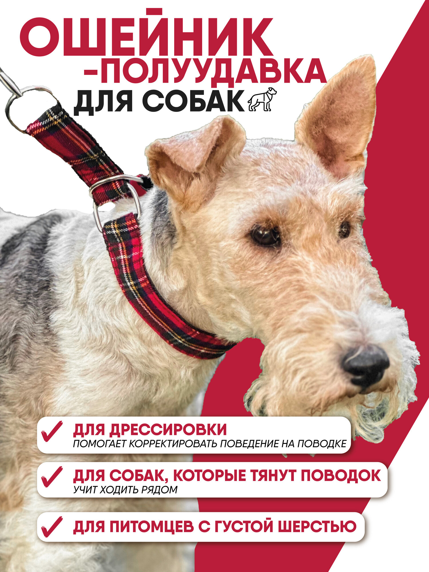 Ошейник полуудавка для мелких и средних собак, Монморанси, размер L