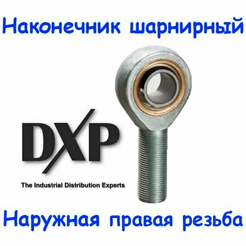 Шарнирная головка, наружная правая резьба, SA10 Т/К, DXP (1 шт.)