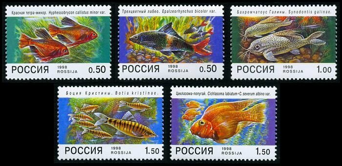 Почтовые марки России. 1998 год. Фауна. Аквариумные Рыбы. Серия из 5 марок. MNH(**)