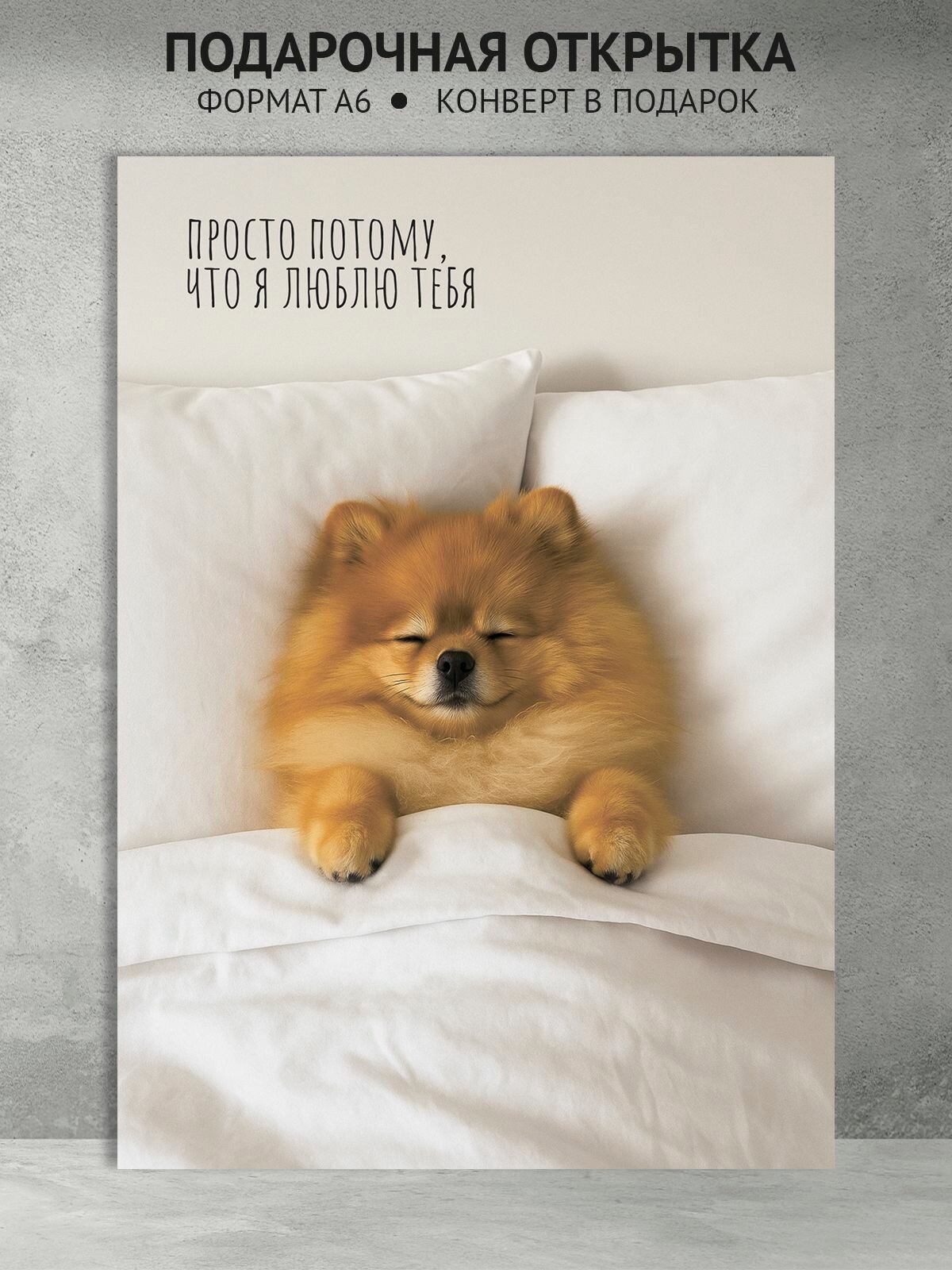 Подарочная открытка, открытка с уникальной иллюстрацией "Шпиц", с юбилеем, с днем рождения, без повода