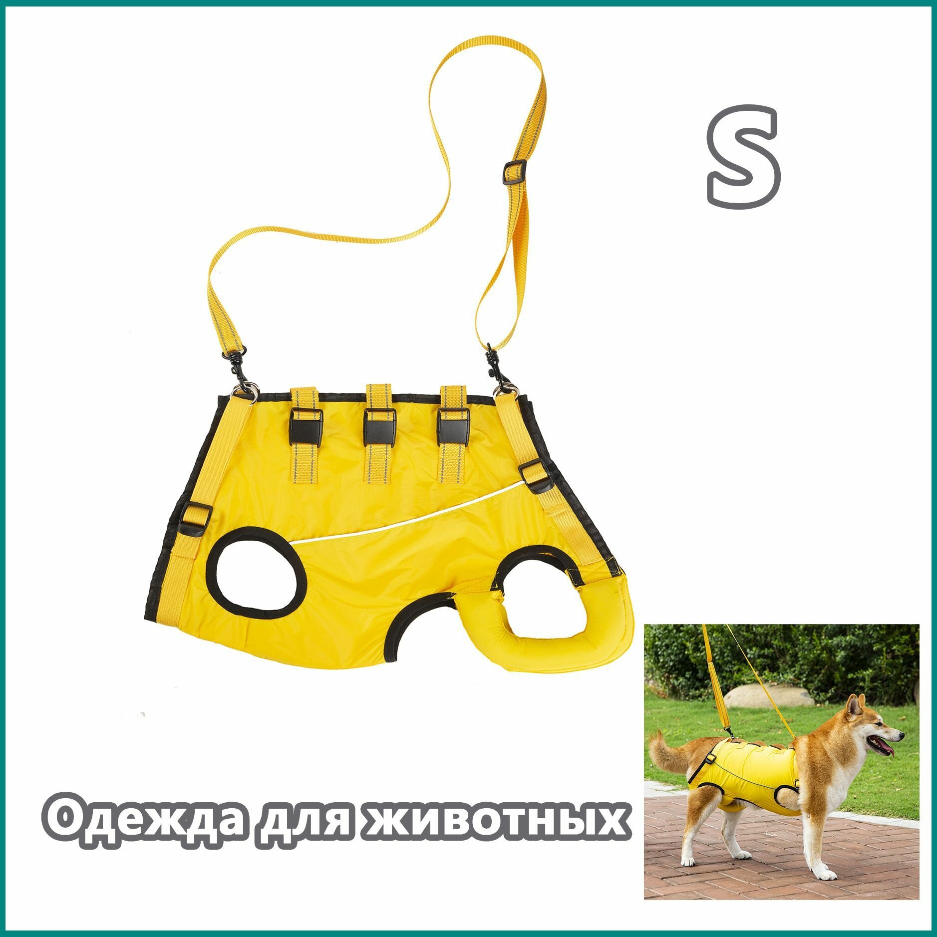 Автобокс для животных