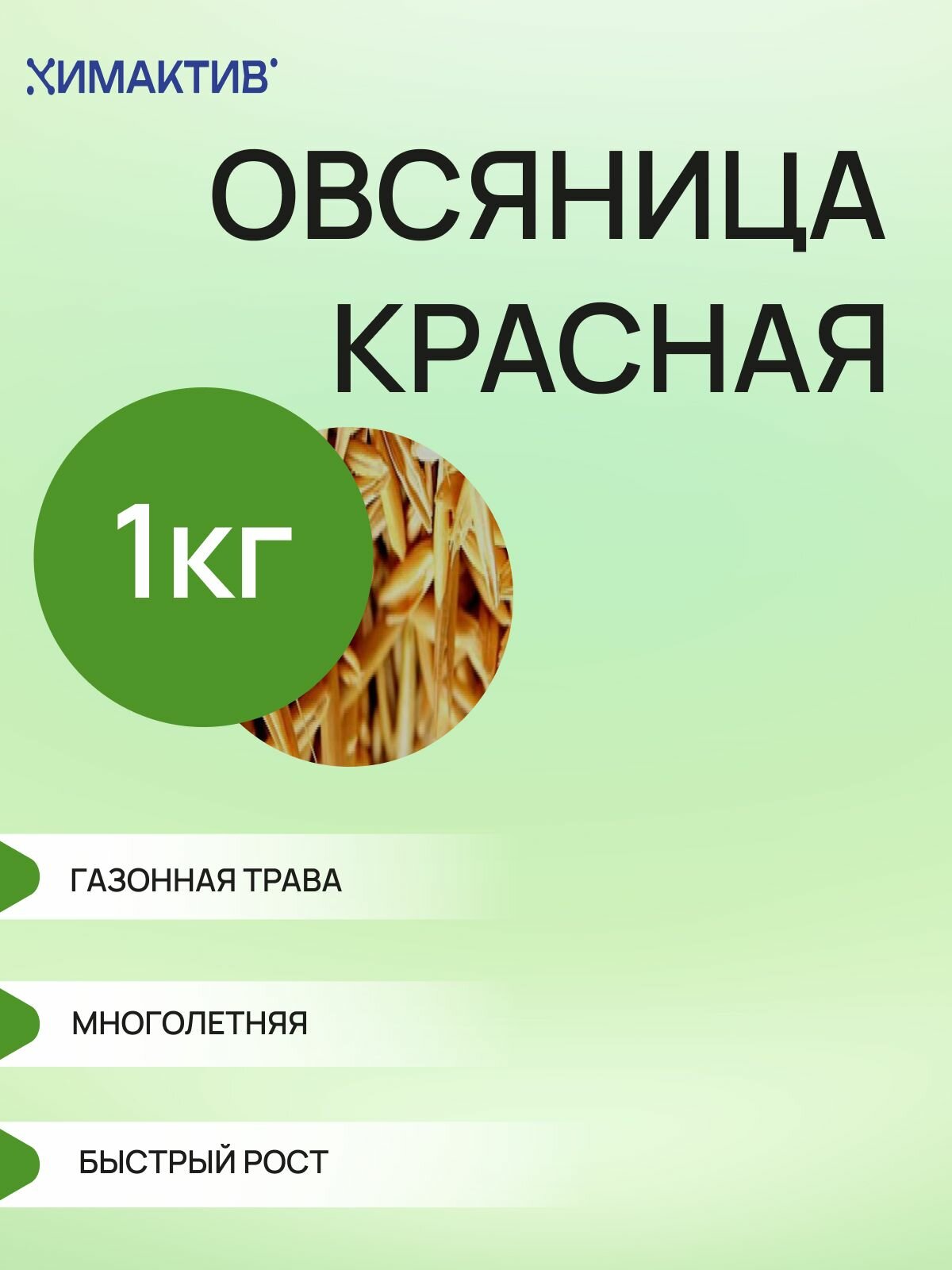 Семена овсяница красная , 1 кг/ Газонная трав