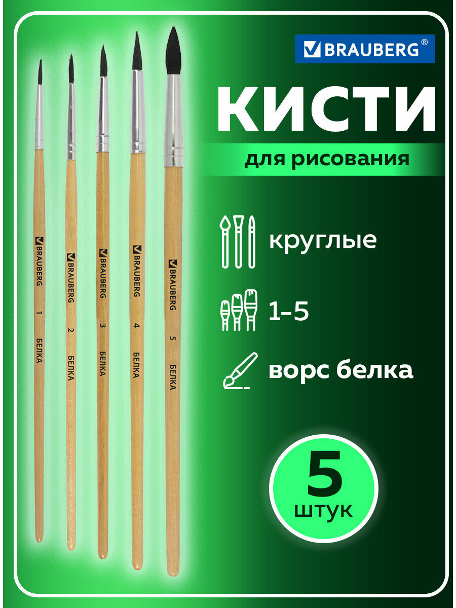 Кисти/кисточки для рисования Brauberg, набор из 5 шт, (белка круглая № 1,2,3,4,5), блистер, 200217
