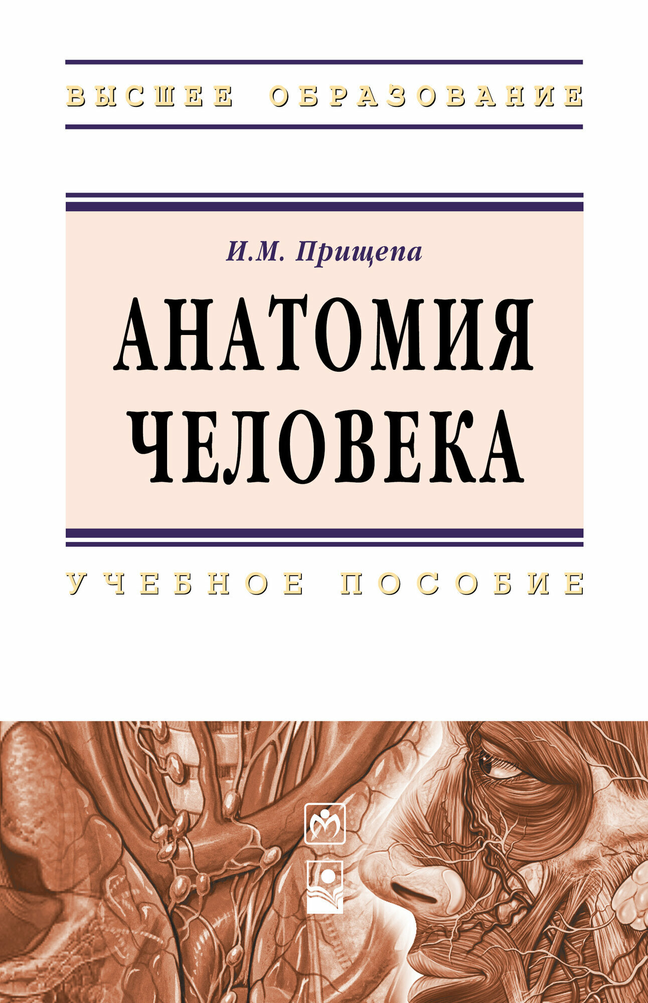 Анатомия человека: Уч. пос./Прищепа И. М.-М: НИЦ ИНФРА-М,2026.-459 с.-(во)(Переплет 7БЦ)