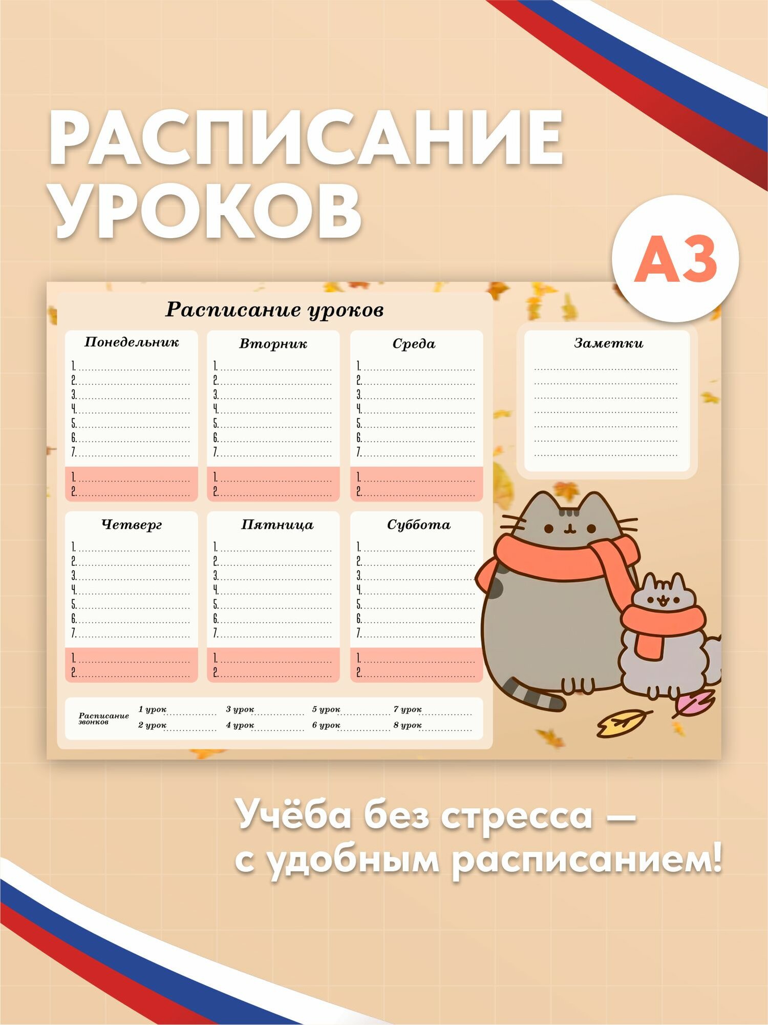 Расписание уроков Пушин