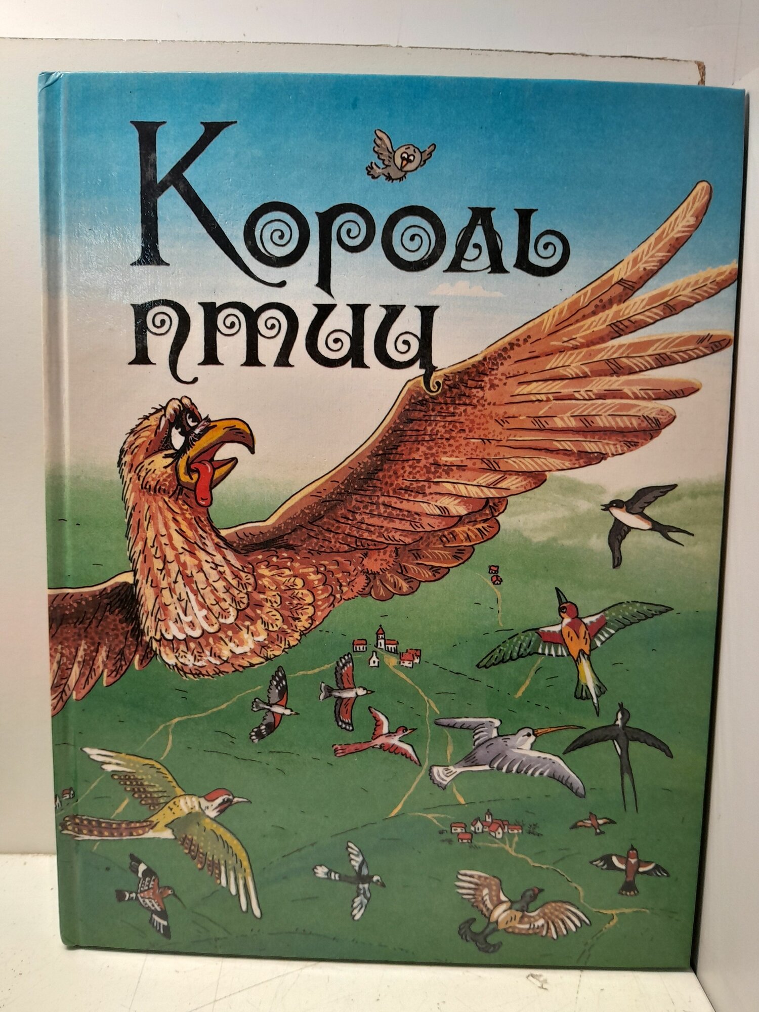 Король птиц. Ирландские сказки и легенды