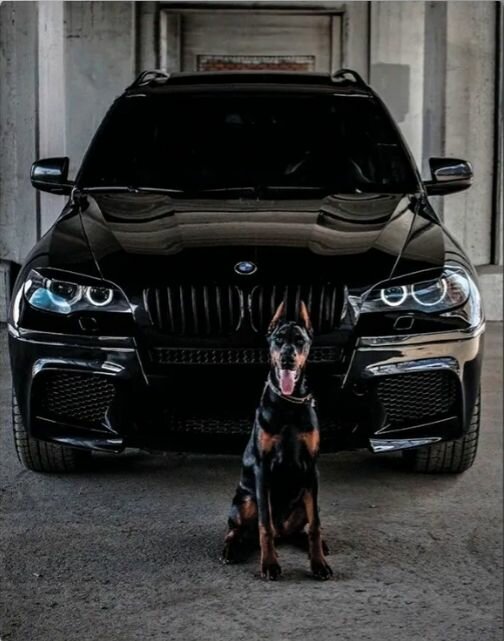 Алмазная мозаика BMW 30х40 см — набор алмазной вышивки и картина стразами для декора и подарка — своими руками!