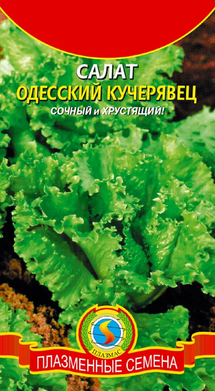 Салат Одесский кучерявец / Плазменные семена