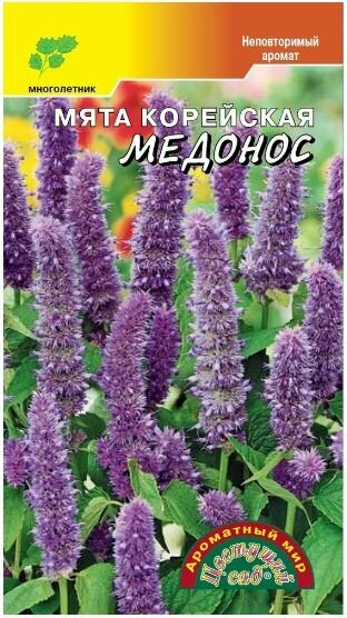 Семена Мята Корейская Медонос