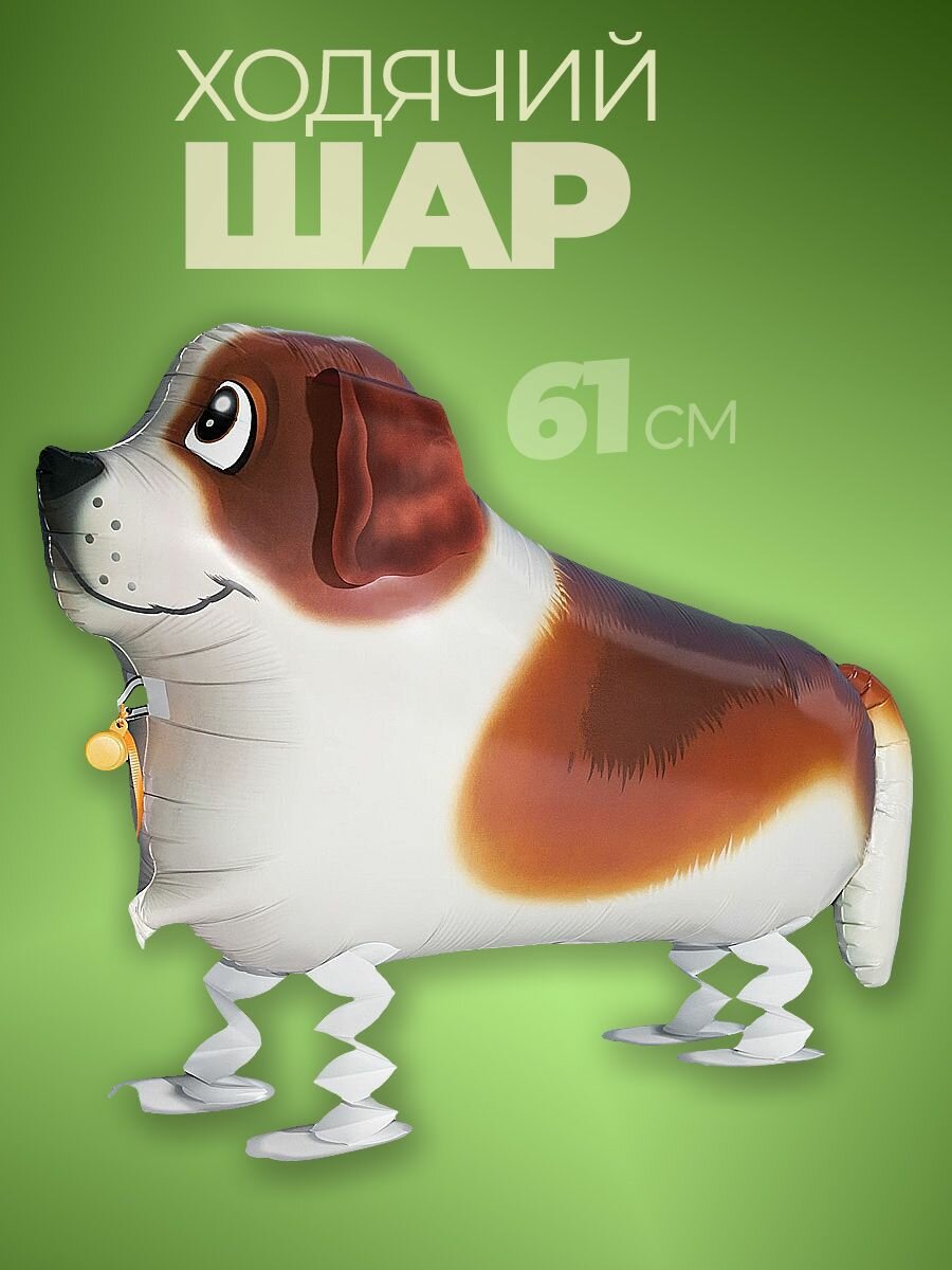 Ходячие шары фигуры собачка