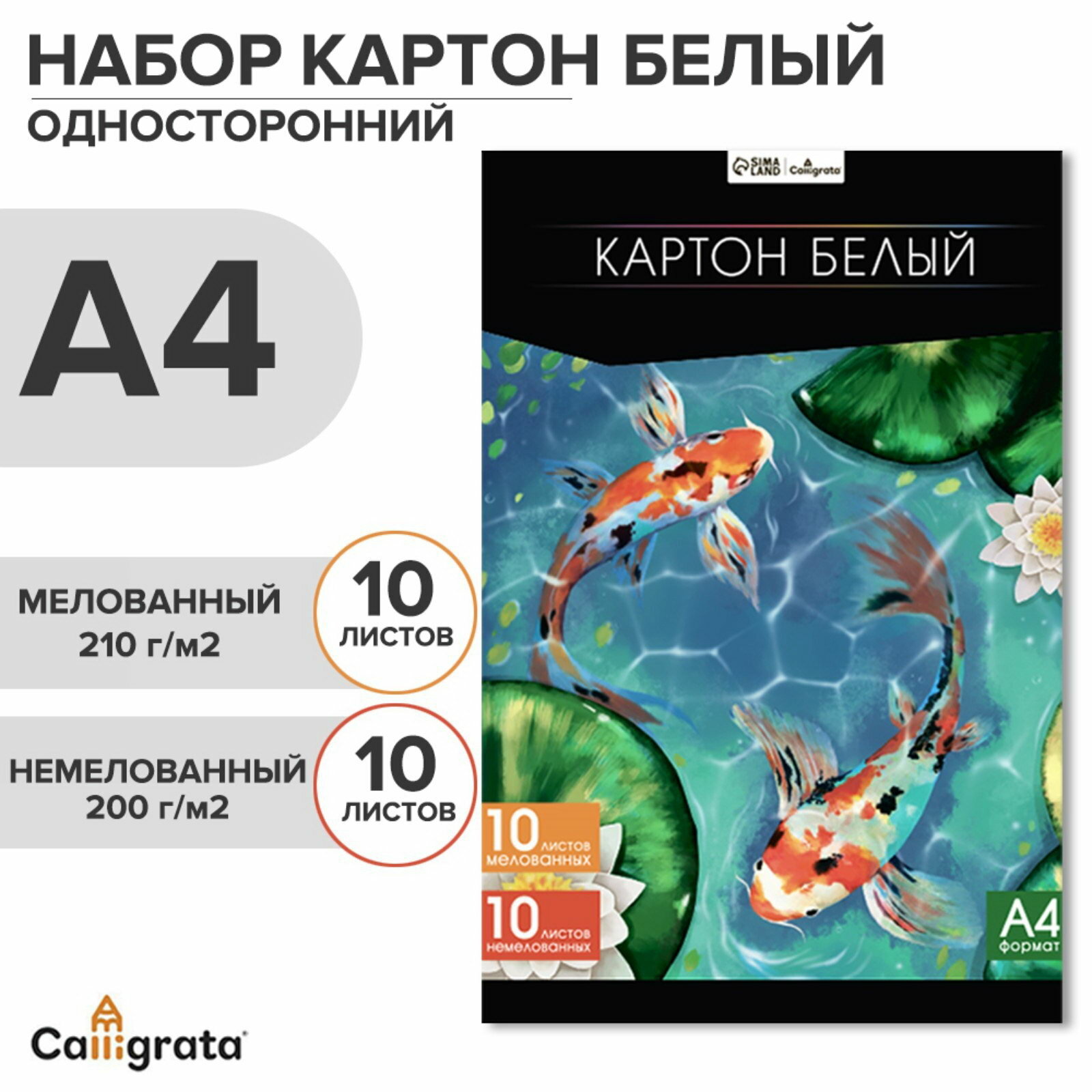 Картон белый А4, 20 листов: 10 листов мелованного плотность 200 г/?2, 10 листов немелованного плотность 200 г/?2, в папке