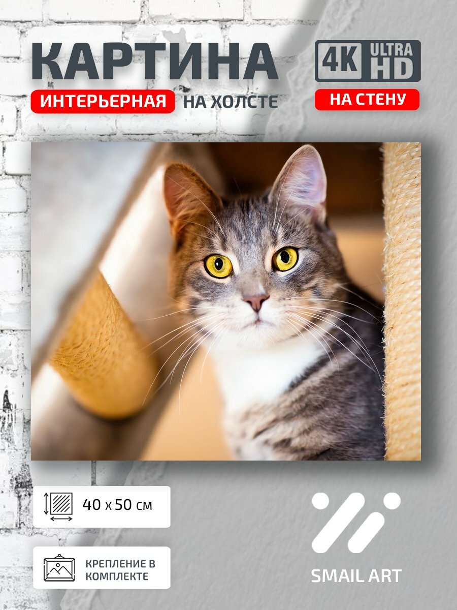 Картина на холсте интерьерная 40 на 50 на стену Когтеточка Animal для детской animal style