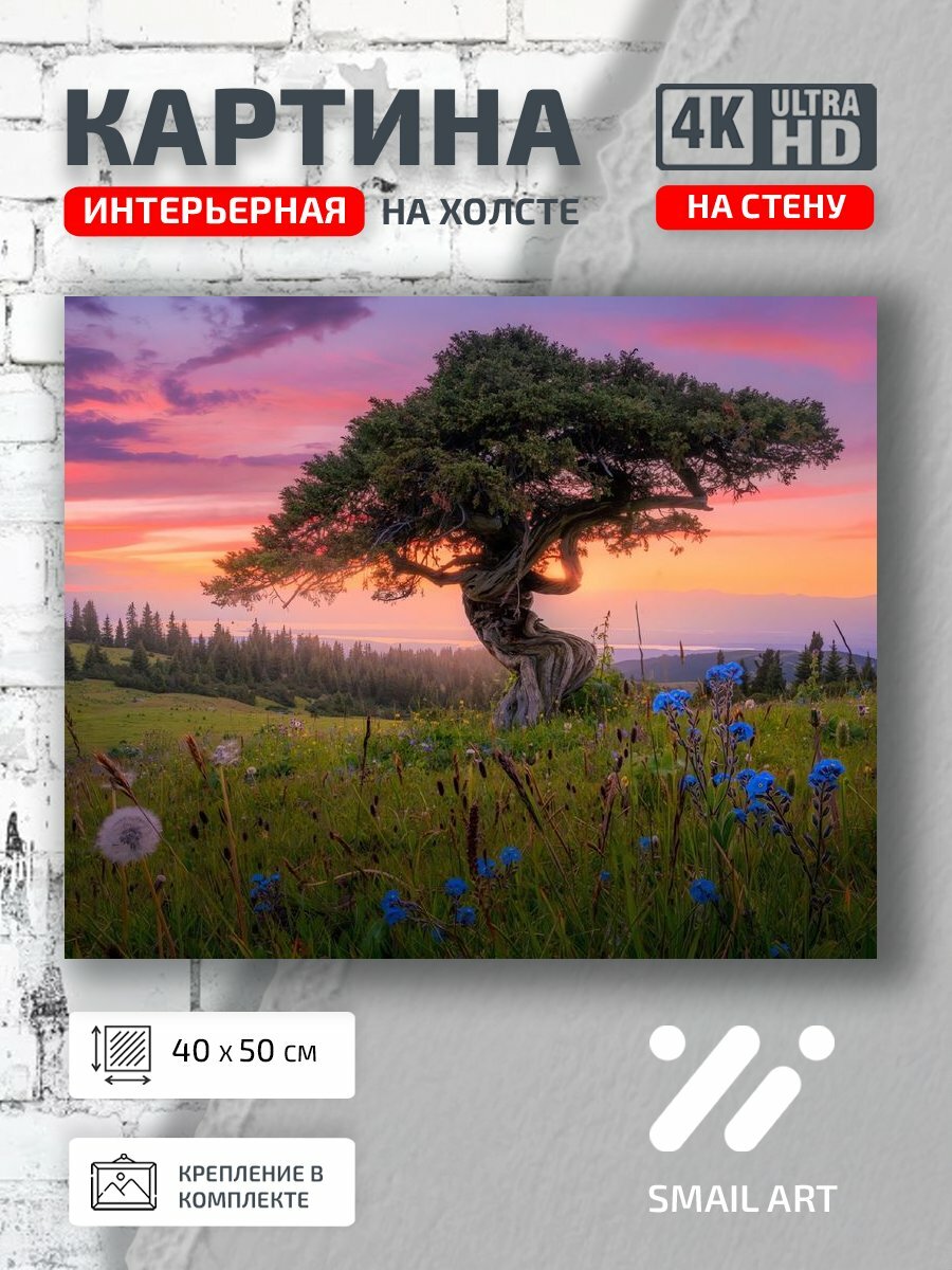 Картина на холсте интерьерная 40 на 50 на стену Васильки Landscape для офиса пейзаж декор