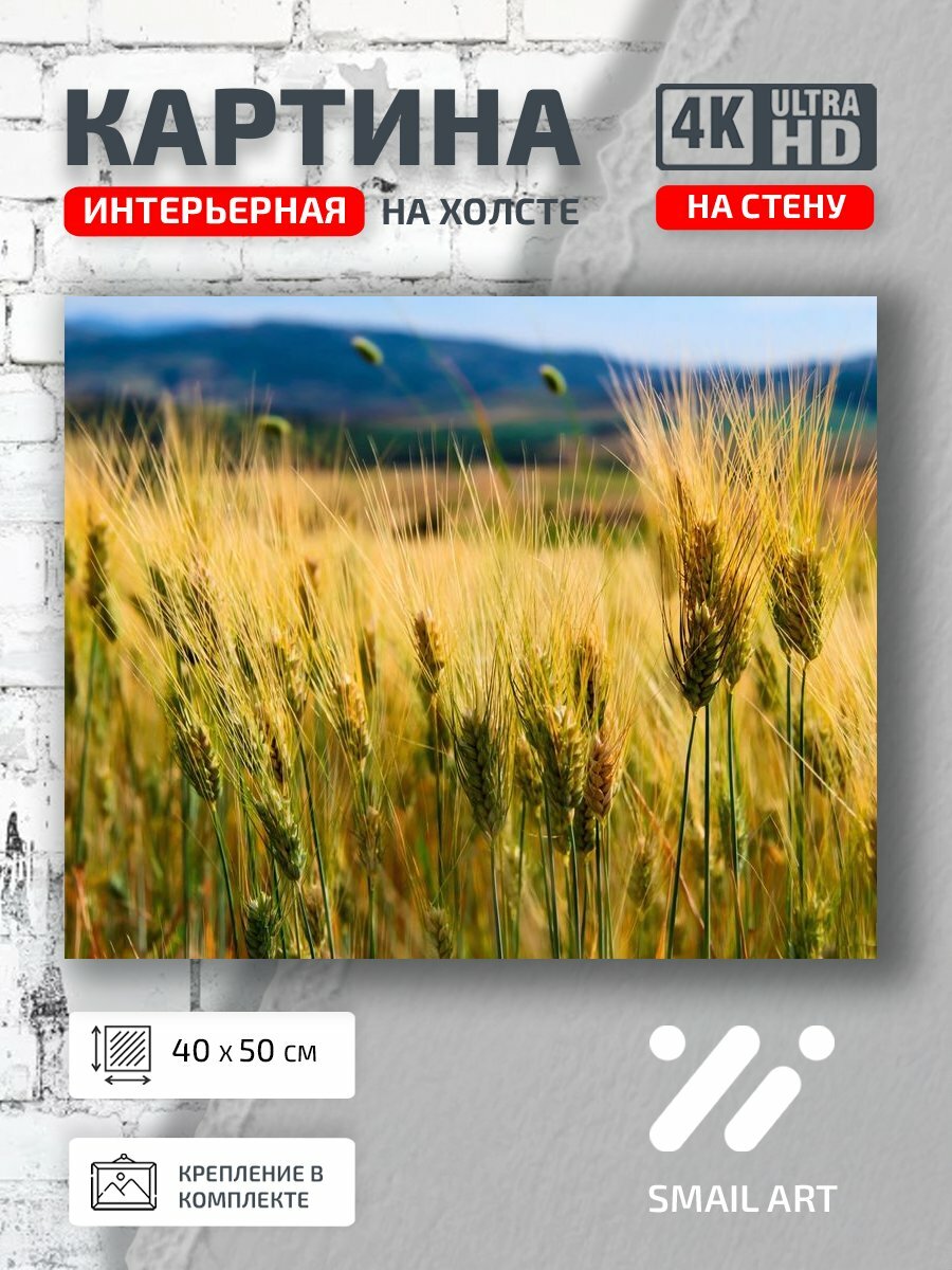 Картина на холсте интерьерная 40 на 50 на стену Поле Landscape для гостиной пейзаж интерьер