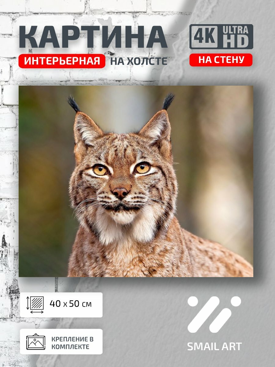 Картина на холсте интерьерная 40 на 50 на стену Рысь Mood для гостиной атмосфера интерьер