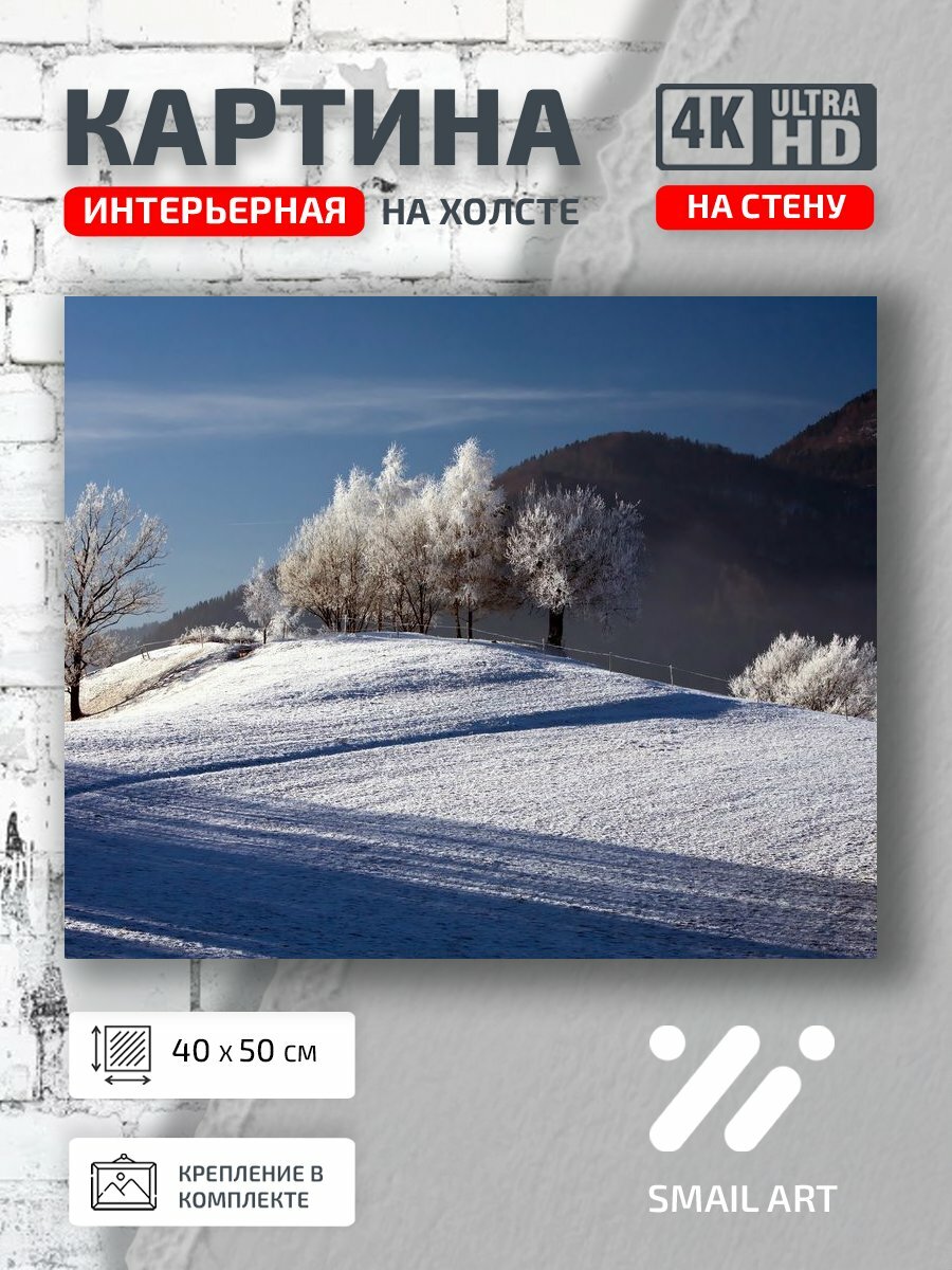 Картина на холсте интерьерная 40 на 50 на стену Деревья Landscape для спальни пейзаж декор