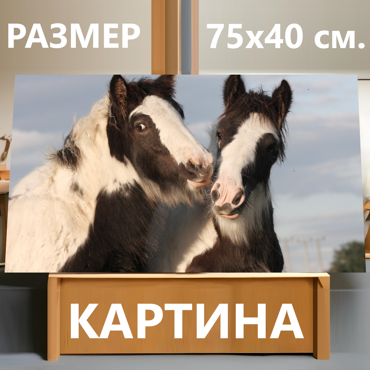 Картина на холсте "Лошадь, цыганский конь, животное" на подрамнике 75х40 см. для интерьера