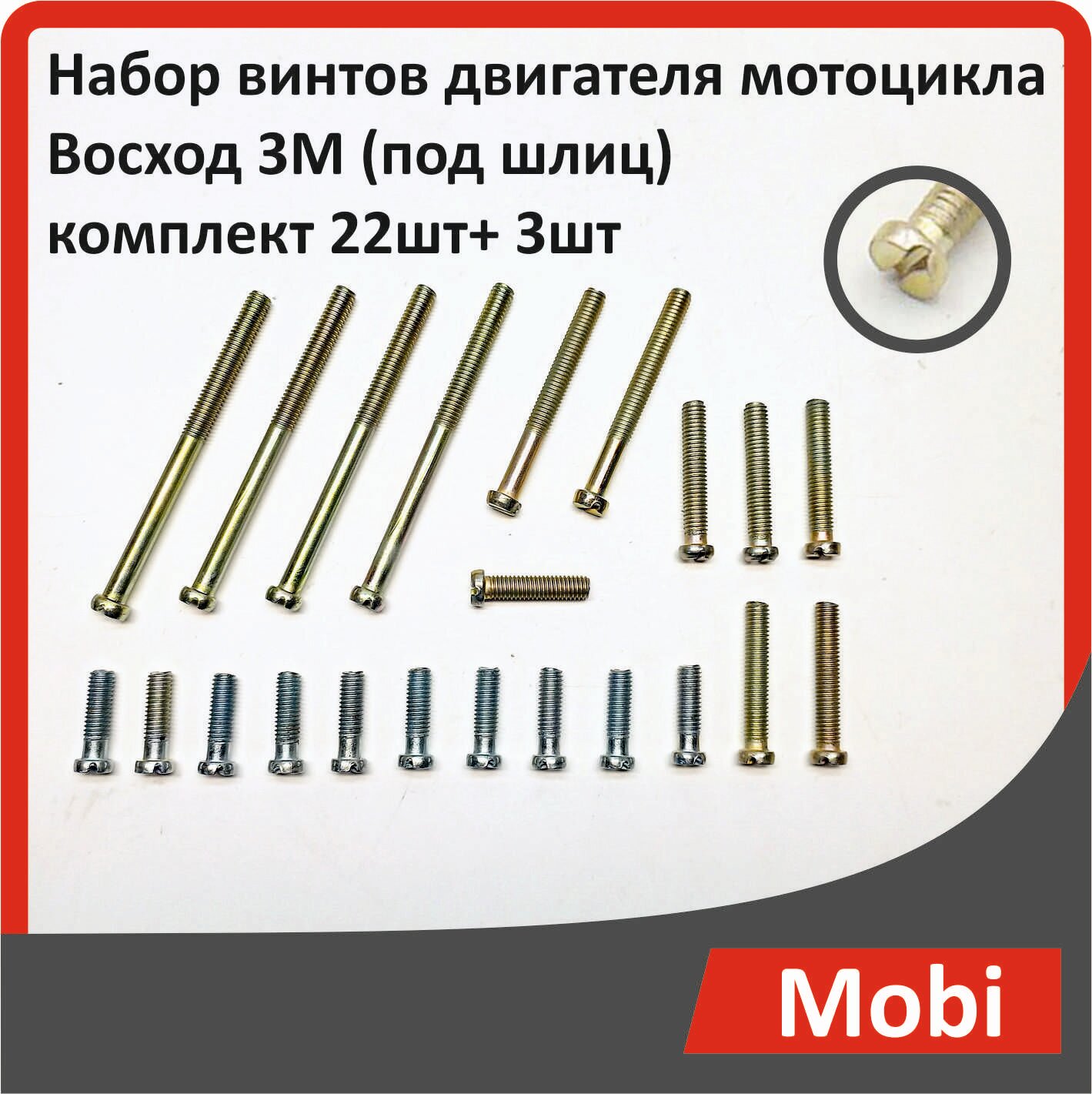 Набор винтов двигателя мотоцикла Восход 3М (под шлиц) комплект 22шт+ 3шт