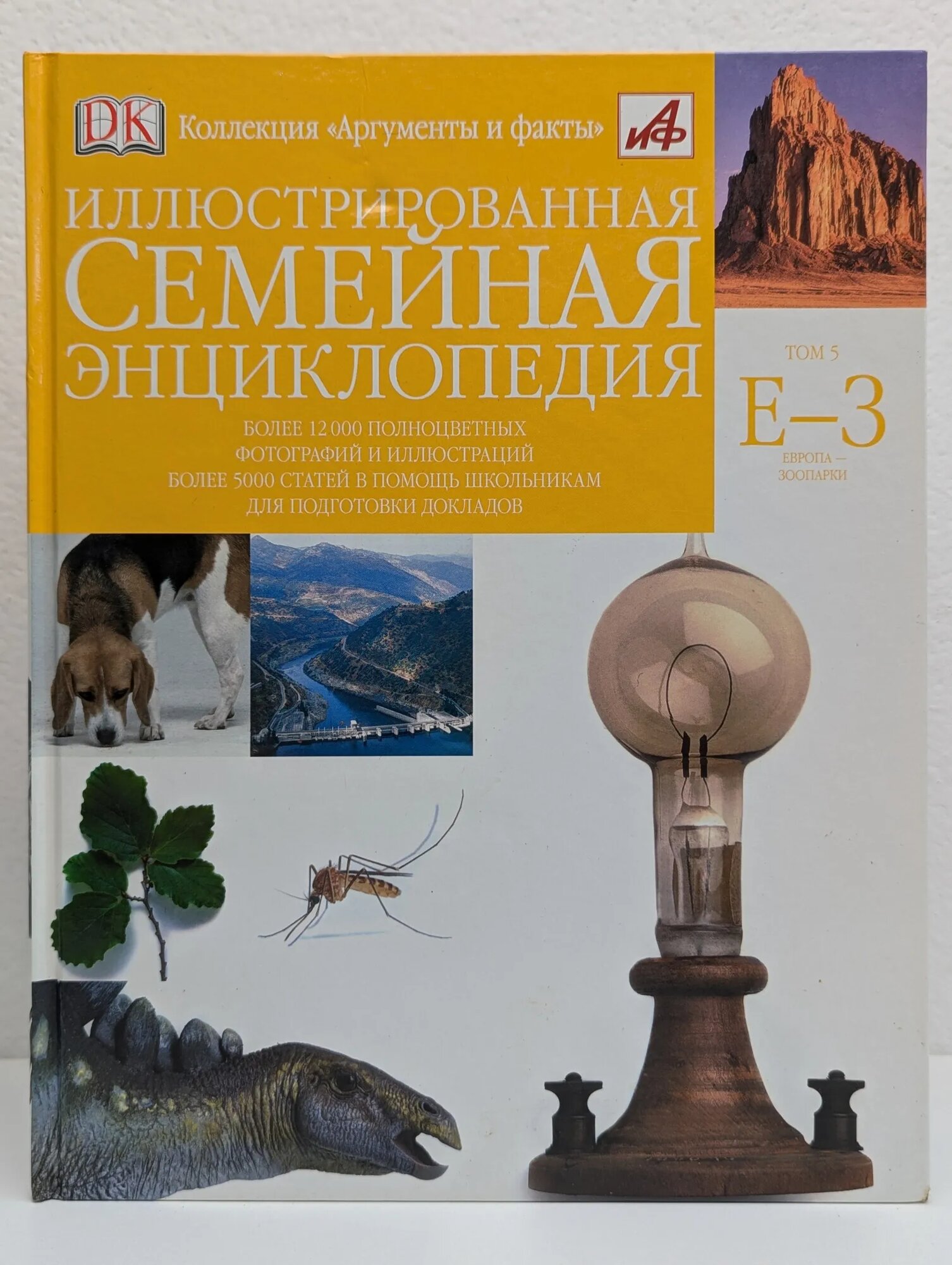 Иллюстрированная семейная энциклопедия. В 24 томах. Том 5 Парсонс Джейн (ред.) 2008