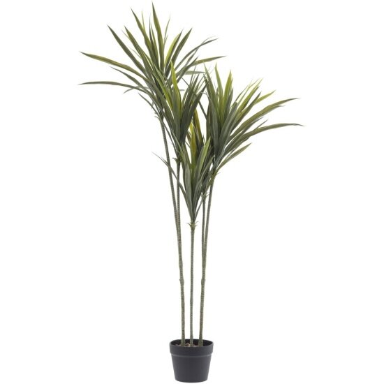 Цветочная композиция Remeco Collection "Драцена" 75х60х133 см