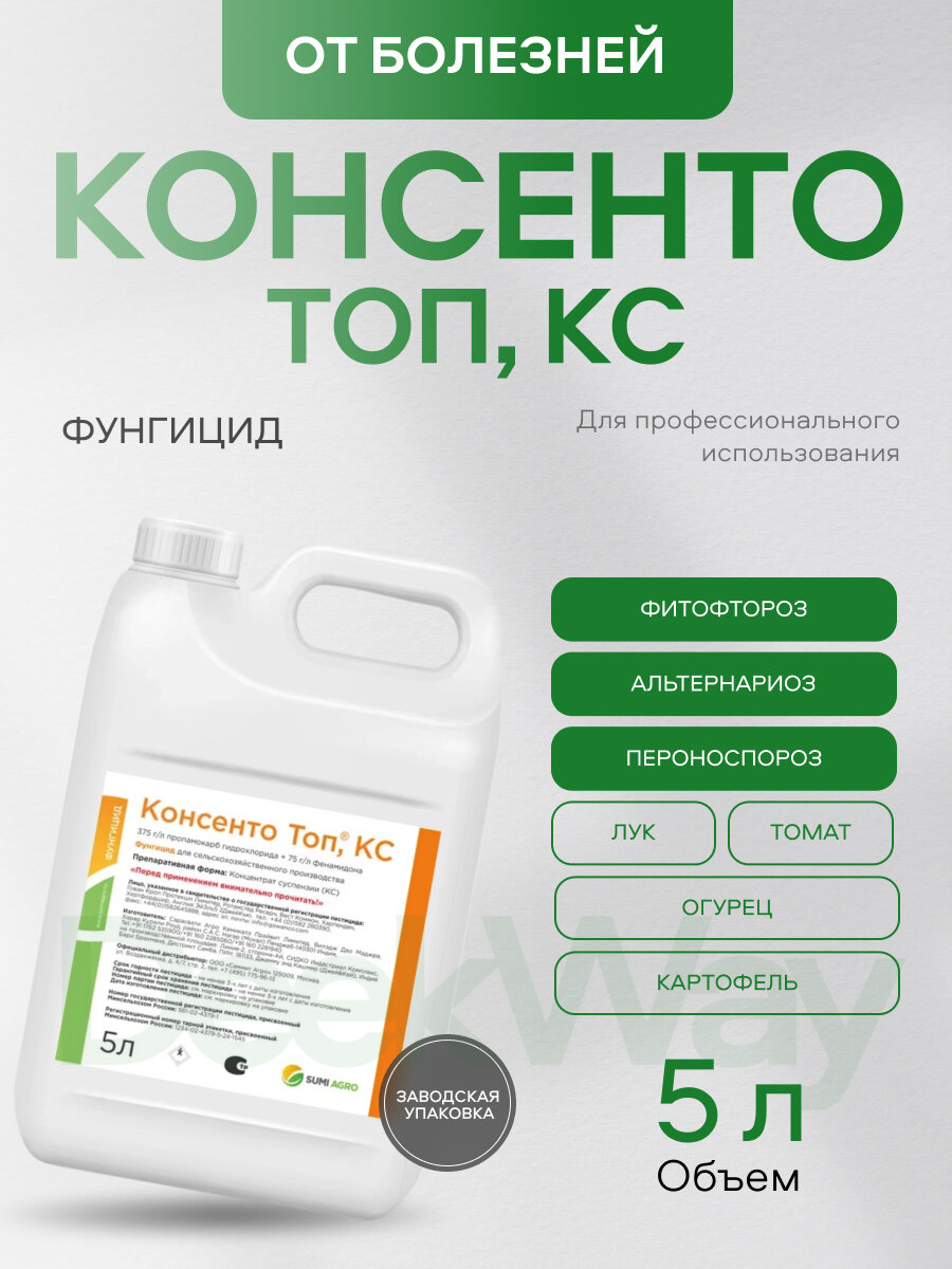 Консенто Топ, КС 5л, двукомпонентный системно-трансламинарный фунгицид