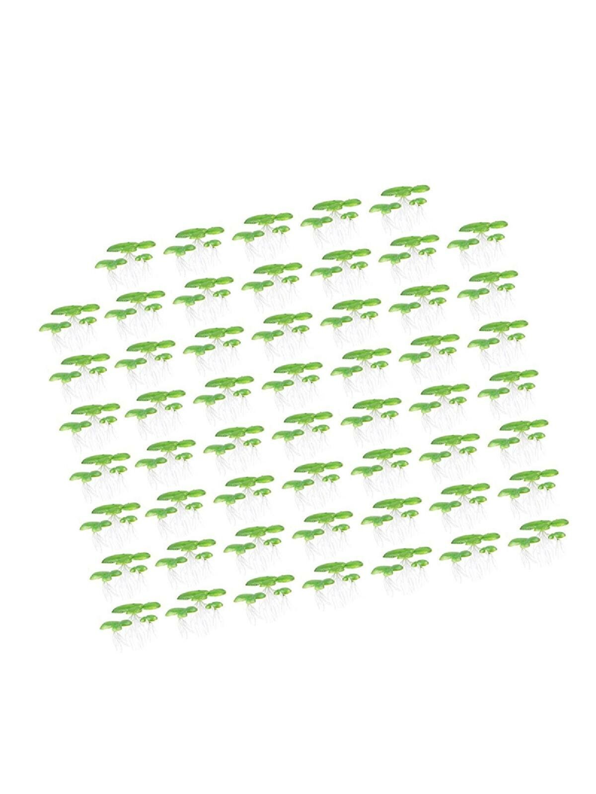 Плавающая ряска Для украшения поверхностей аквариумов Предотвращает рост водорослей