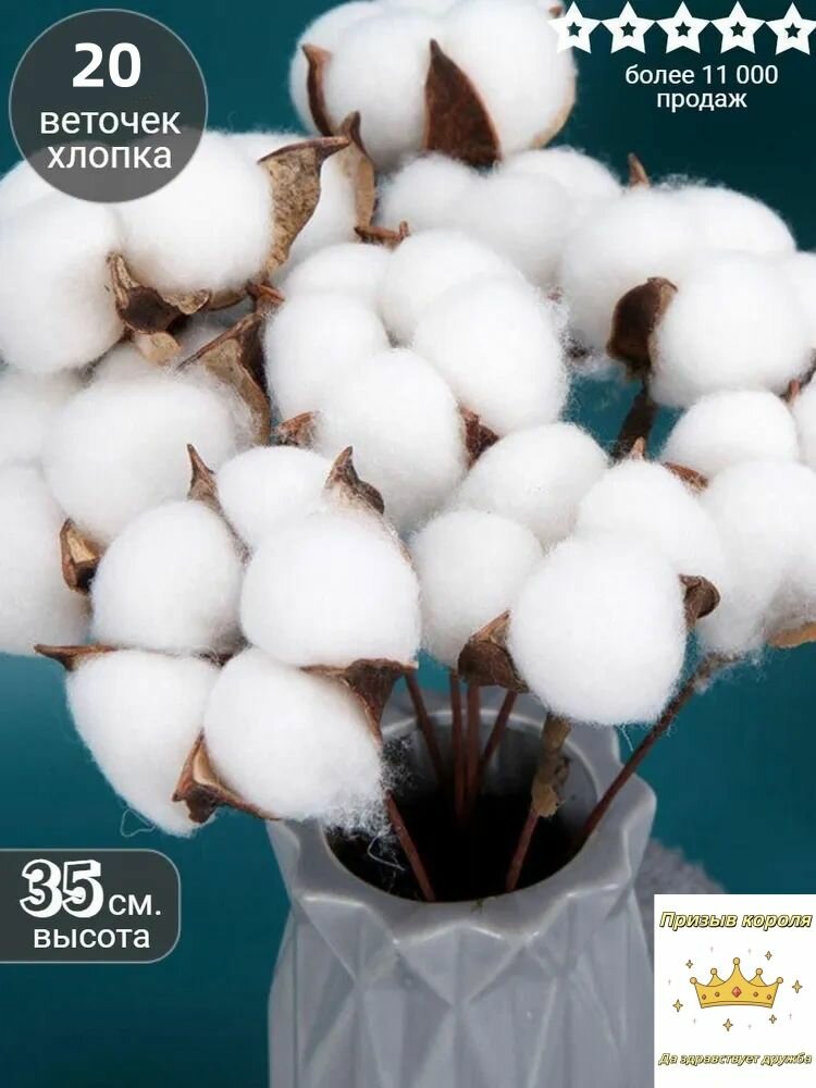 Букет из сухоцветов Хлопок, 35 см, 20 шт