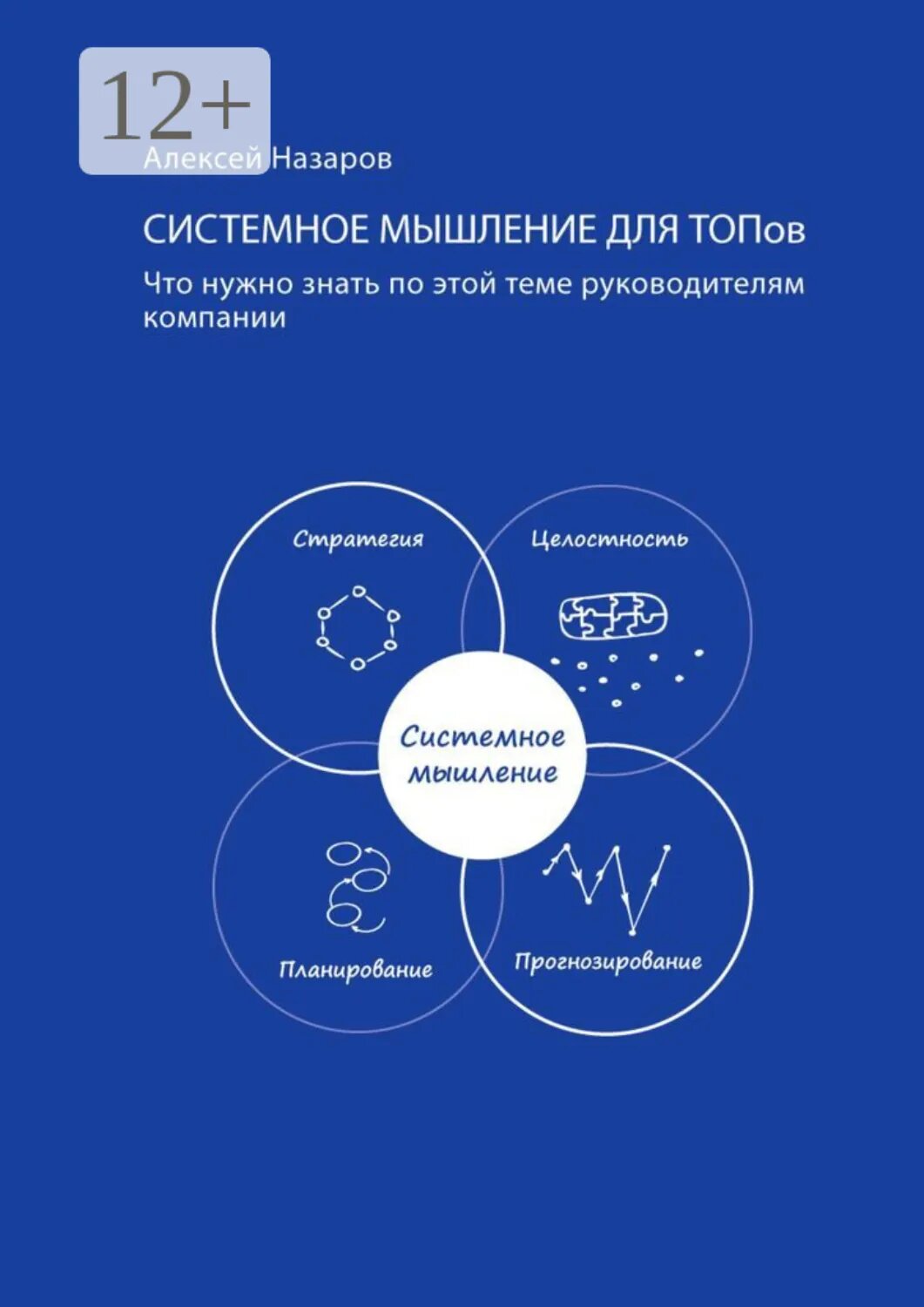 Системное мышление для ТОПов. Что нужно знать по этой теме руководителям компаний [Цифровая книга]