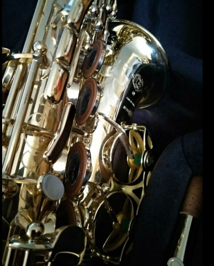 Series III Selmer Альт-саксофон Sax латунь Духовой инструмент с чехлом