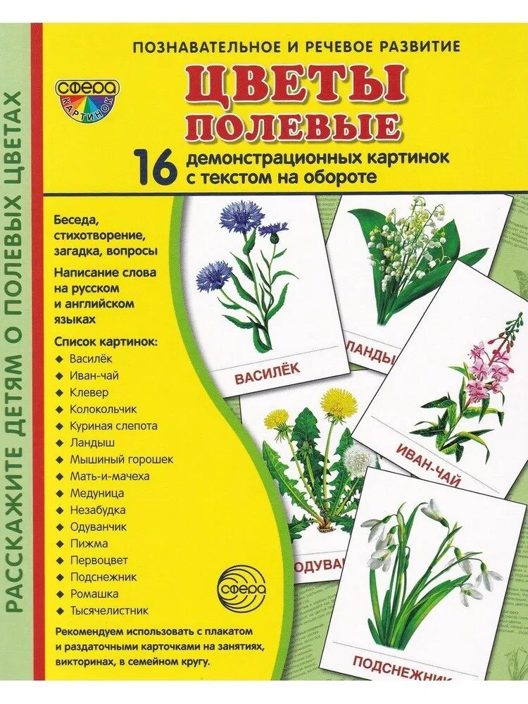Демо картинки Цветы полевые 16 шт Познавательное и речевое развитие 0207/978-5-9949-1020-7 с 4 лет С