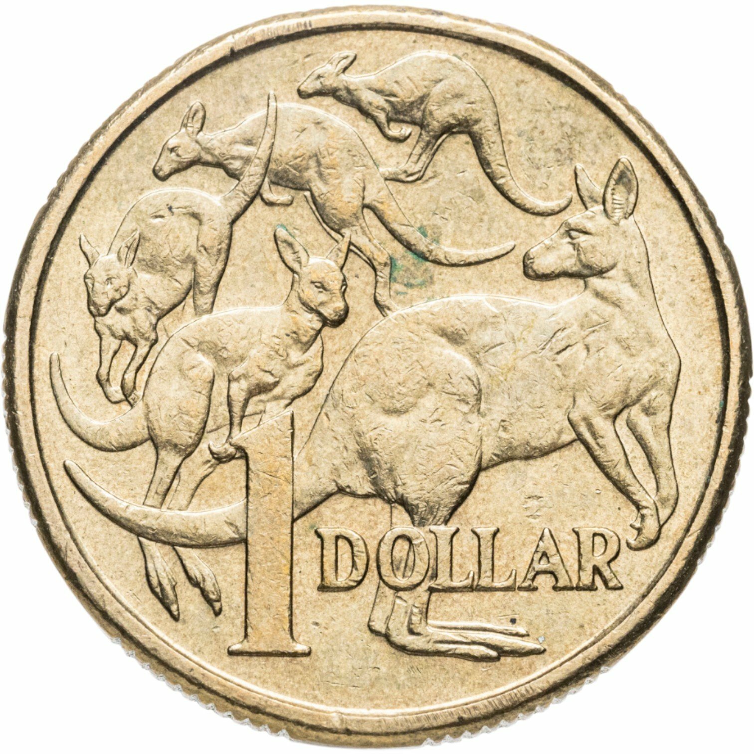 Австралия 1 доллар dollar 2016, Бронза, в сохранности XF-AU