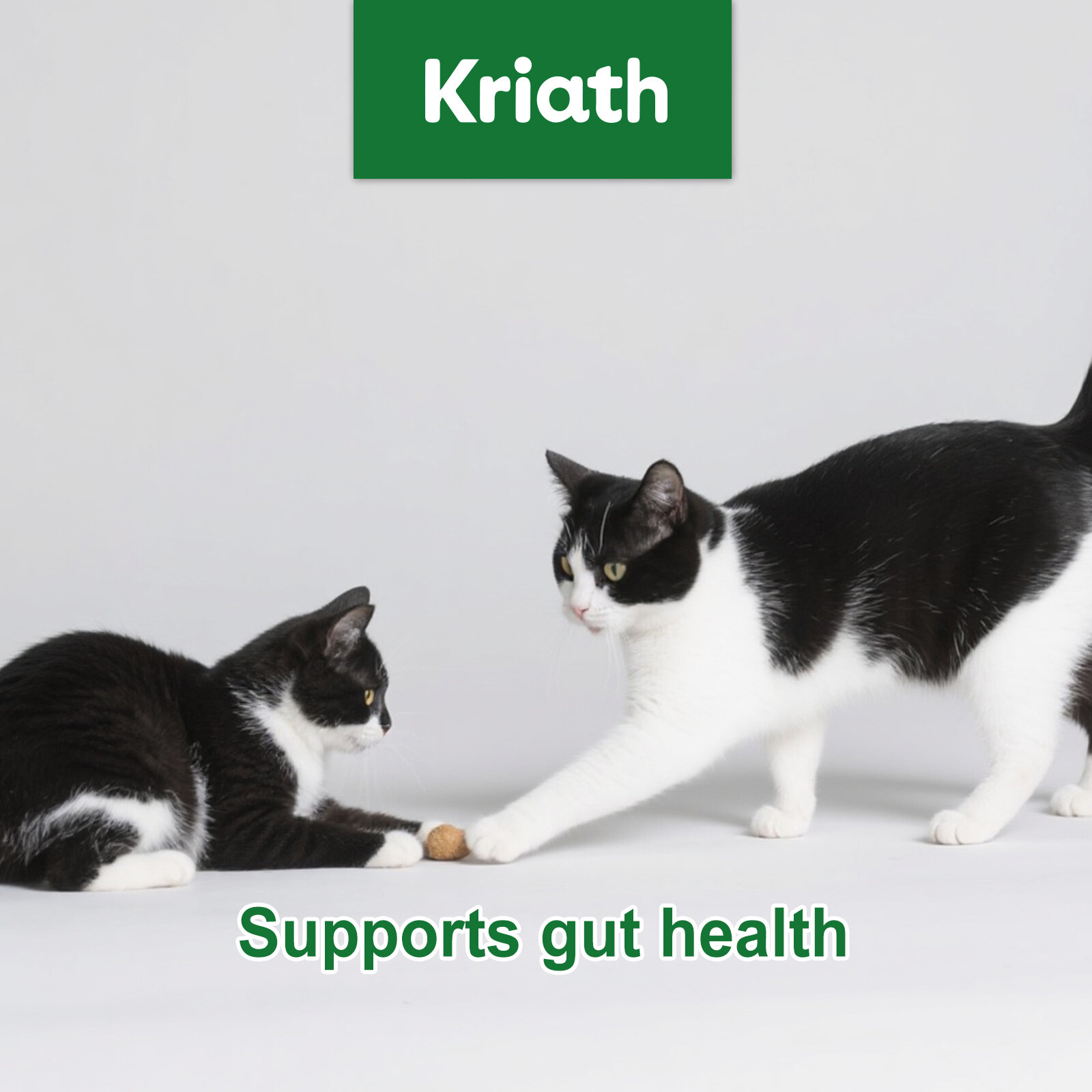 Капли с пробиотиками для кошек, ежедневный уход для гладких кишечников, улучшение мягкого стула, легко кормить и усваивать