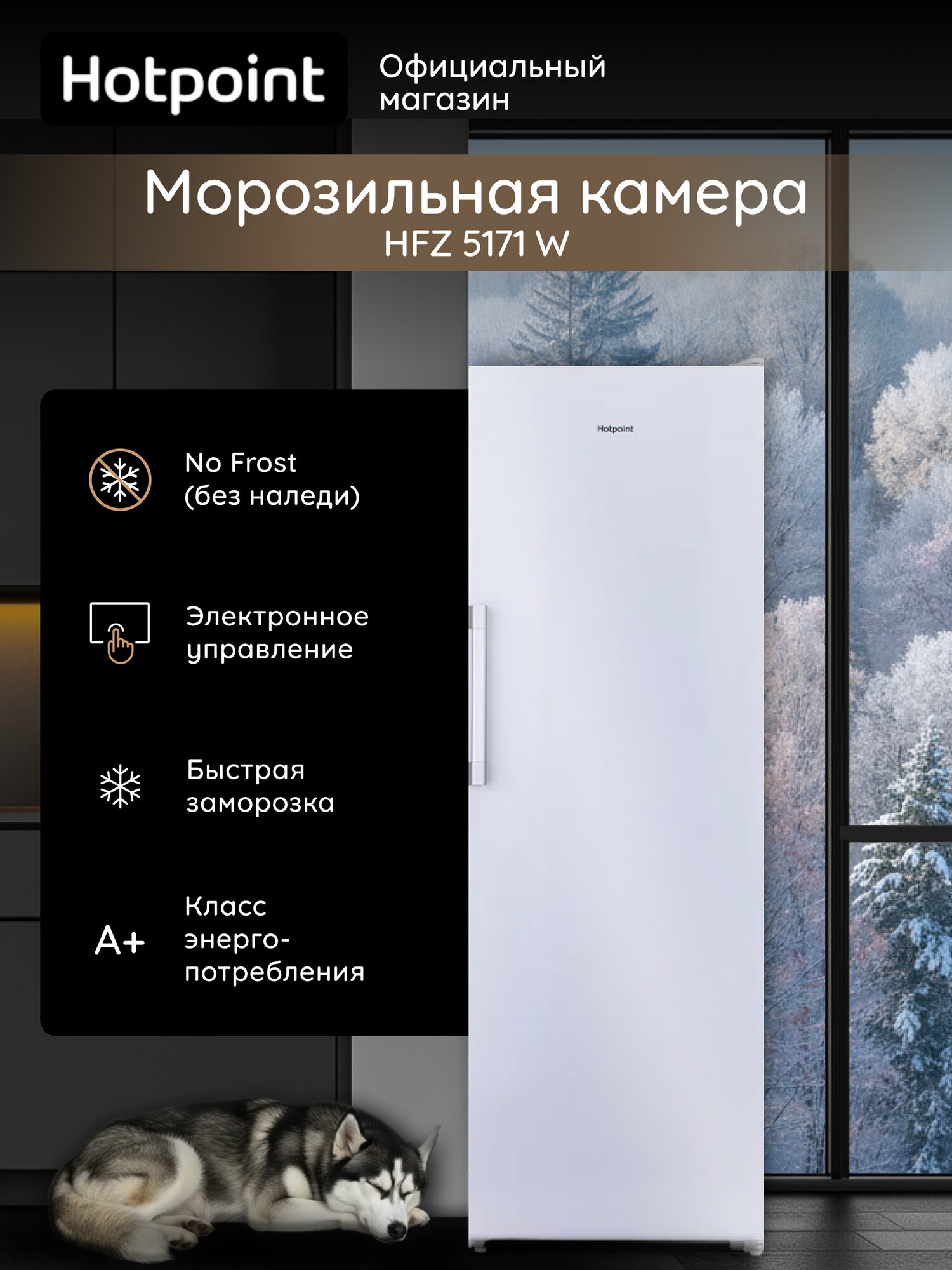 Морозильная камера Hotpoint HFZ 5171 W, No Frost, 250 л, 5 ящиков, белый