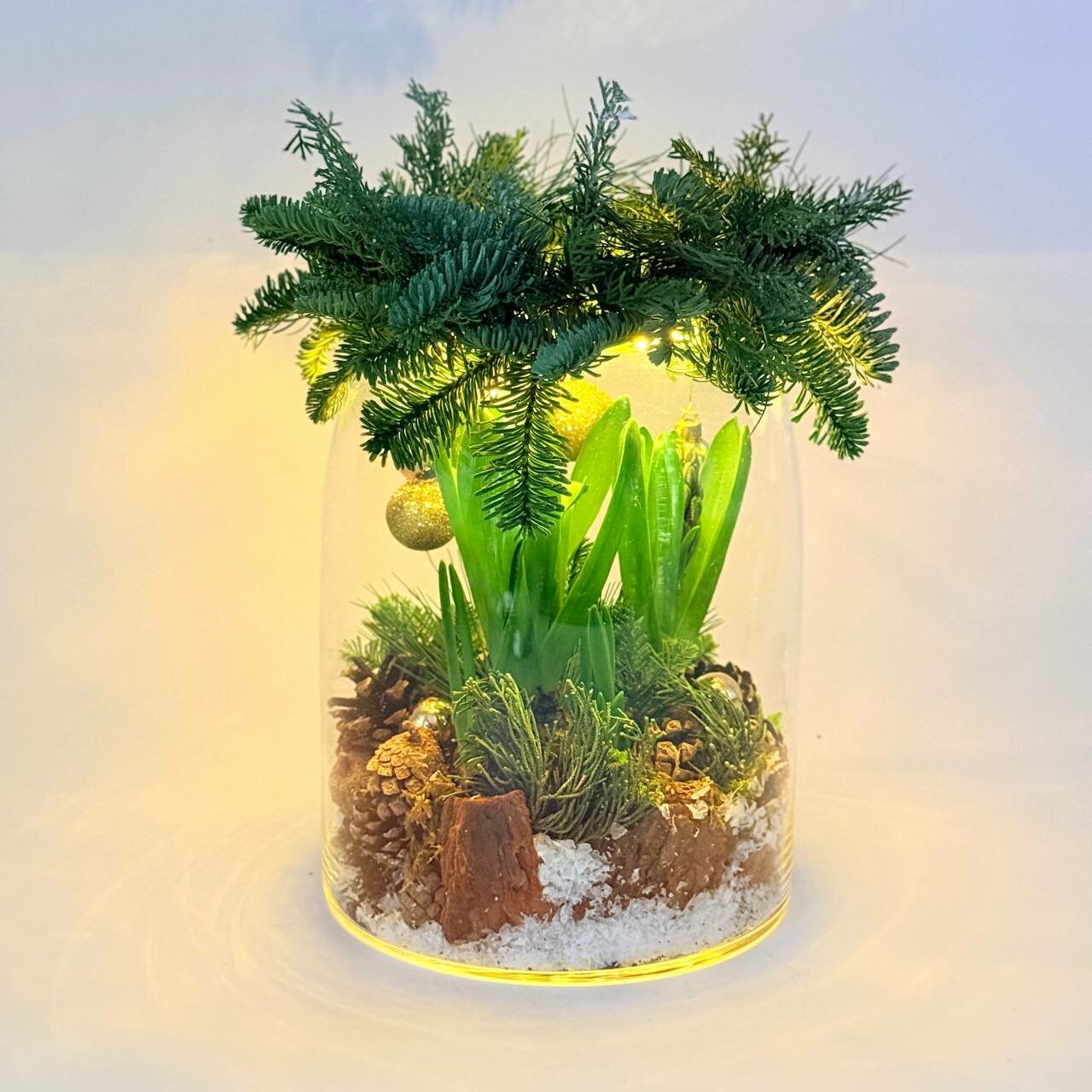 Интерьерный флорариум, зимняя композиция с первоцветами гиацинтами и веточками хвои нобилис