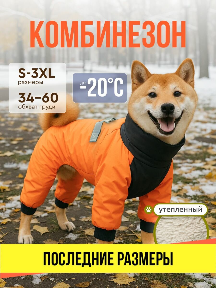 Зимняя одежда для собак средних и крупных пород MiloPets, комбинезон 2XL