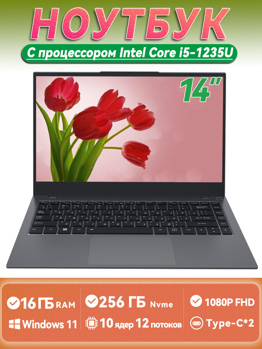 Ноутбук 14", Intel Core i5-1235U, RAM 16 ГБ, SSD 256 ГБ, Intel HD Graphics, Windows 11 Pro（Русский расклад）