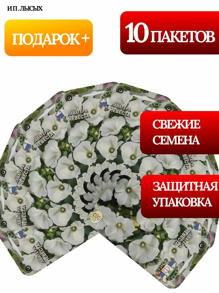 Семена Лаватера "Невеста"