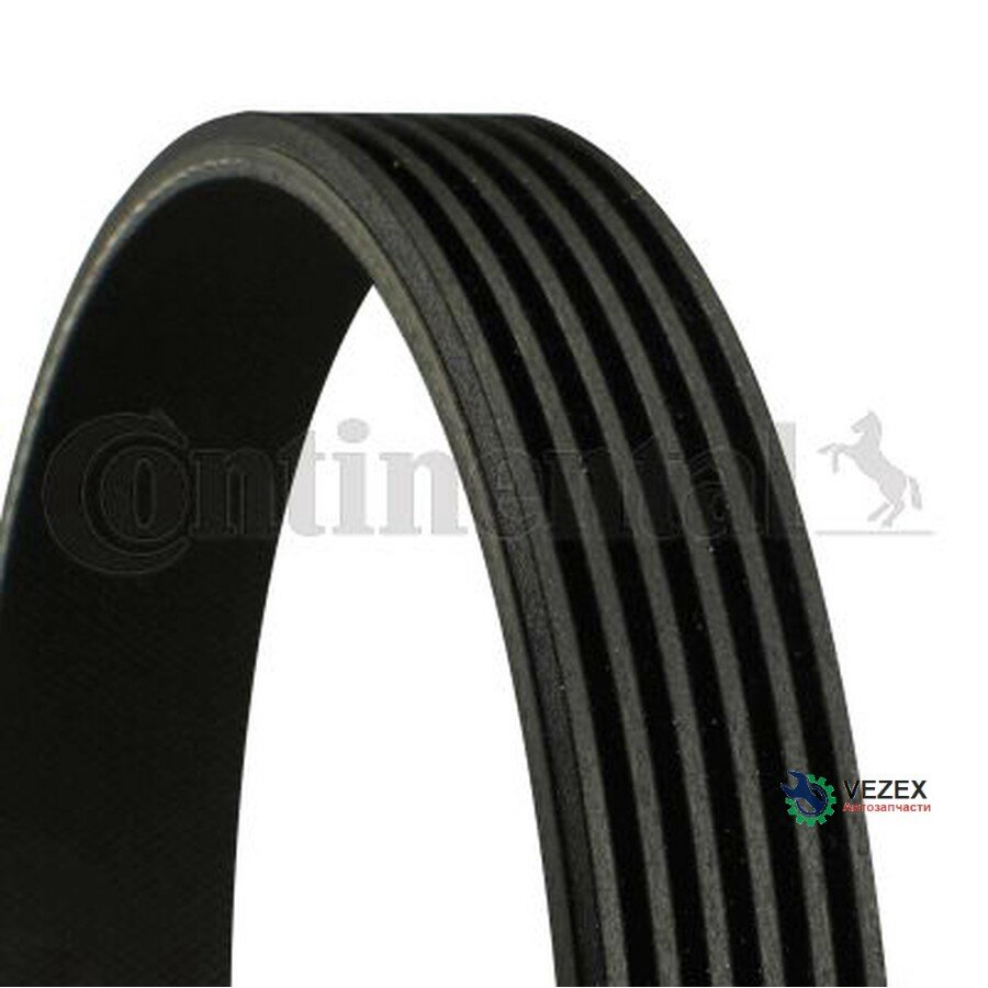 CONTINENTAL 6PK1023ELAST Ремень поликлиновой