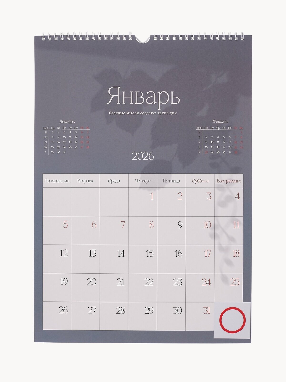 Календарь 2026г 297*420 "Shadow" настенный, на спирали